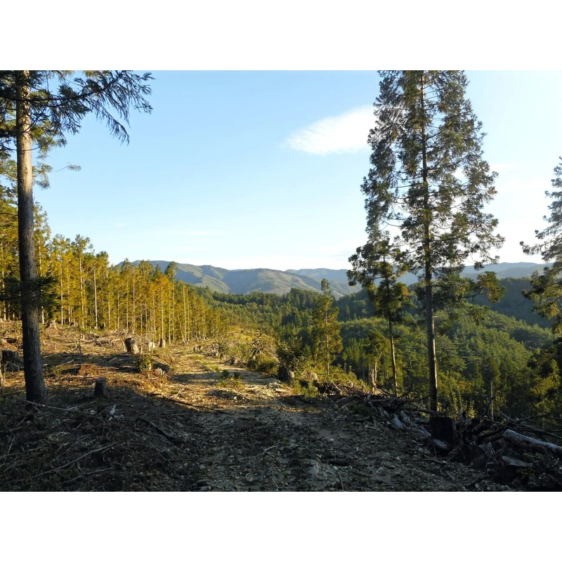 「大自然を気軽に楽しむ」をコンセプトに、岩手県遠野市でキャンプをのんびり楽しめる！「forenta-IWATE 遠野キャンプエリア」が7月1日オープン - 東北ITトレンド